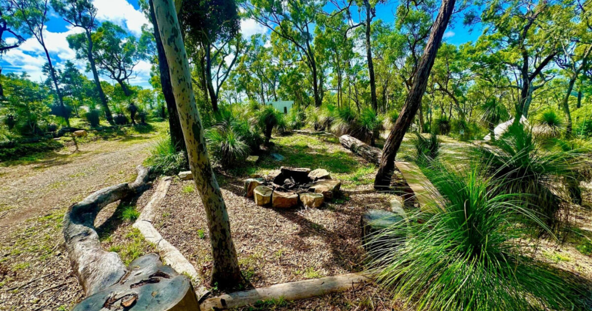 1770 Eco Camp | Grass Trees Unpowered Site | ParkBooker