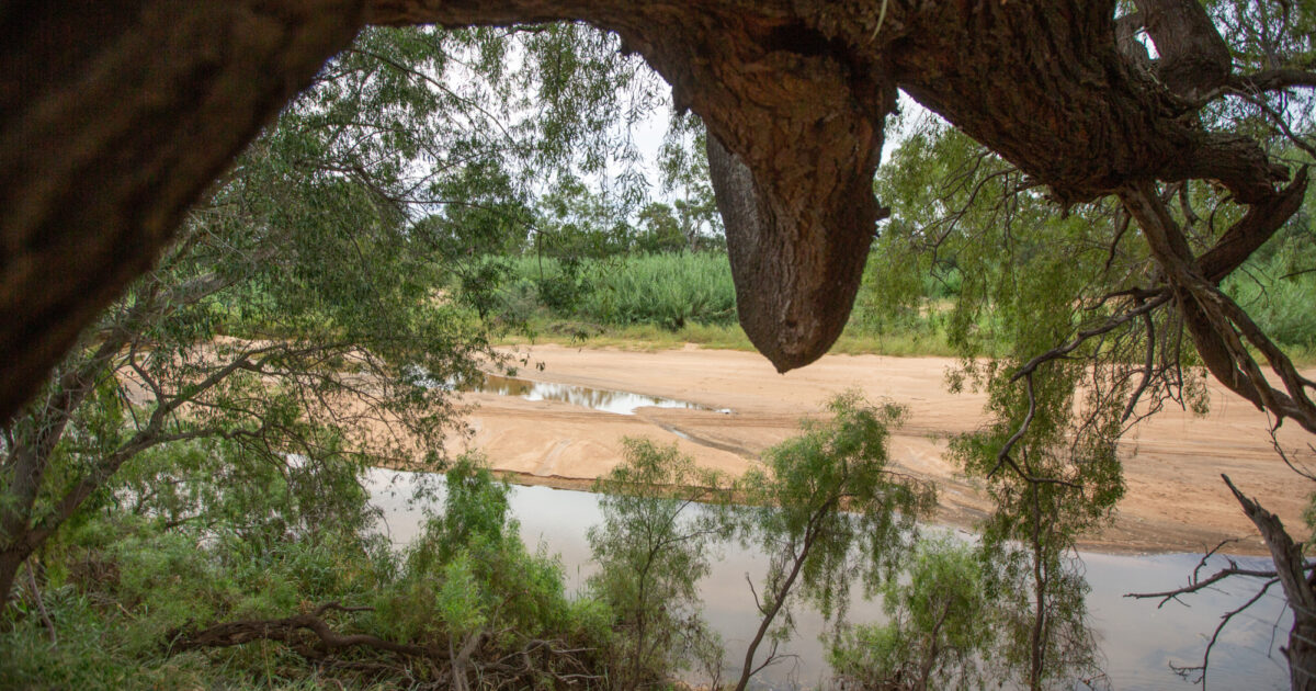 Coonamble Riverside Holiday Park | Unpowered Site | ParkBooker