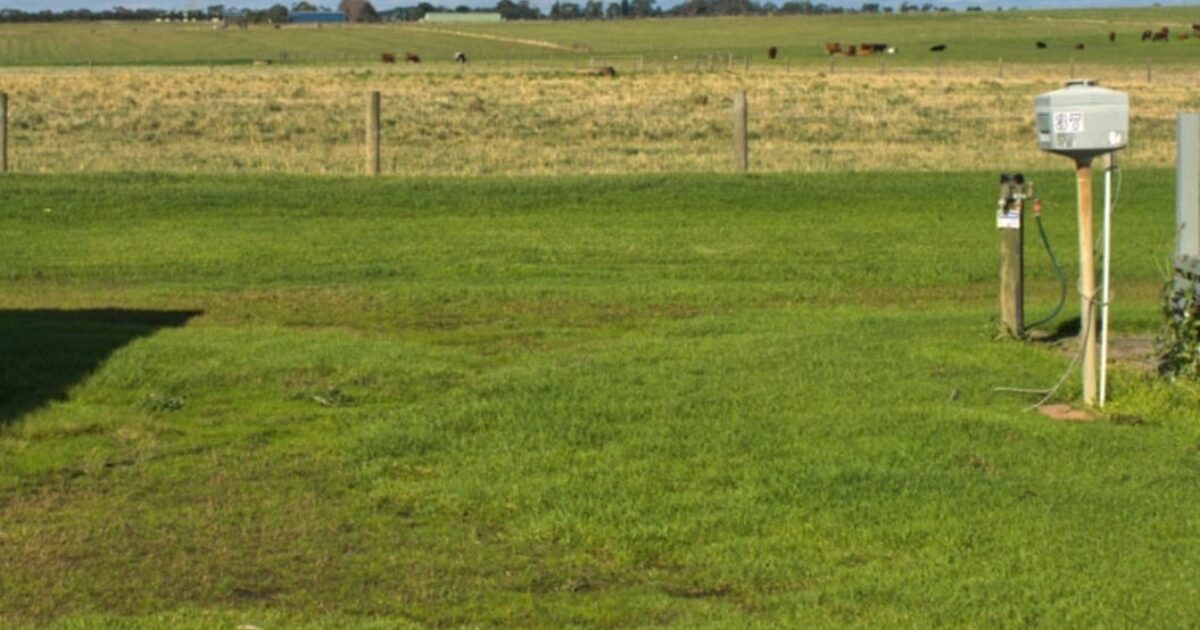 Lang Lang Foreshore Caravan Park | Powered Grassed Site