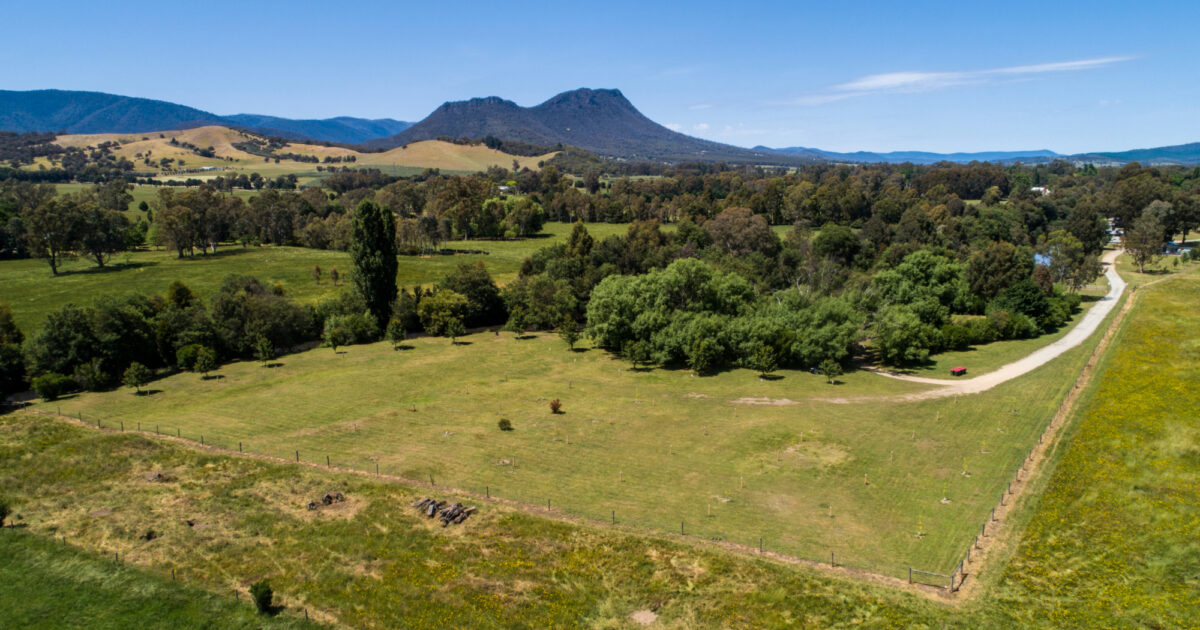 BIG4 Taggerty Holiday Park | Unpowered Site