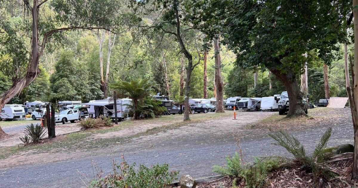 Tarra Valley Retreat | Powered Site