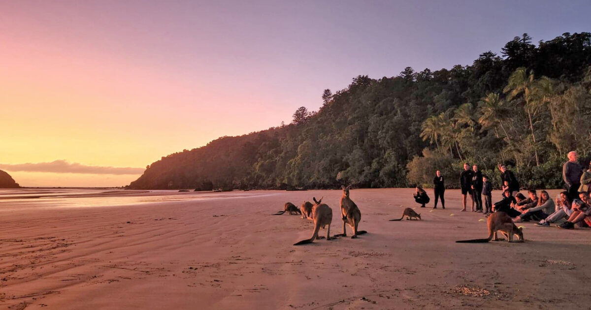 Northern QLD Holiday Park Itinerary